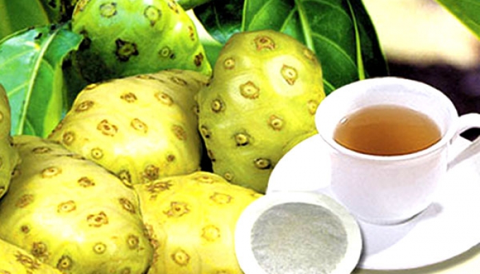 Macam-Macam Cara Mengolah Mengkudu - Pasmata.com